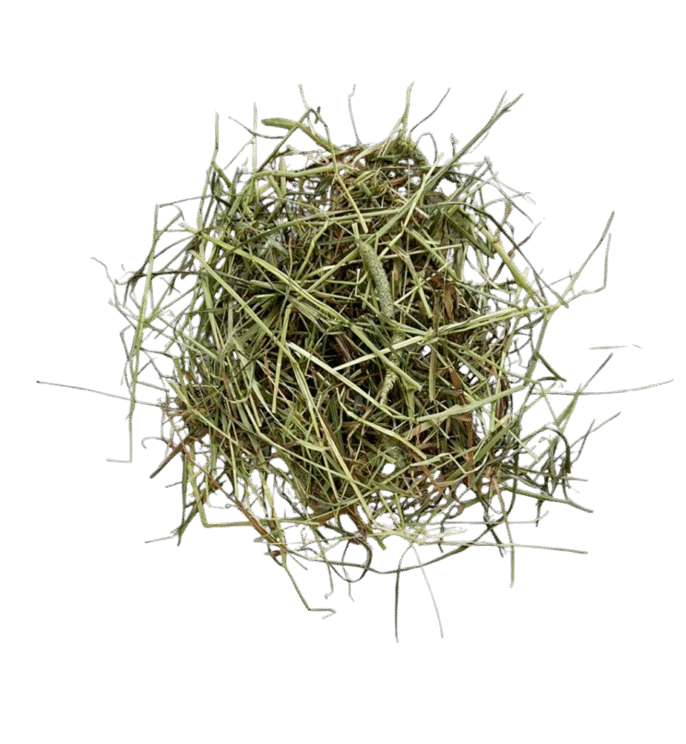 Timothy Hay | Fresh Farm-Grown Hay for Small Pets | Happy Hay